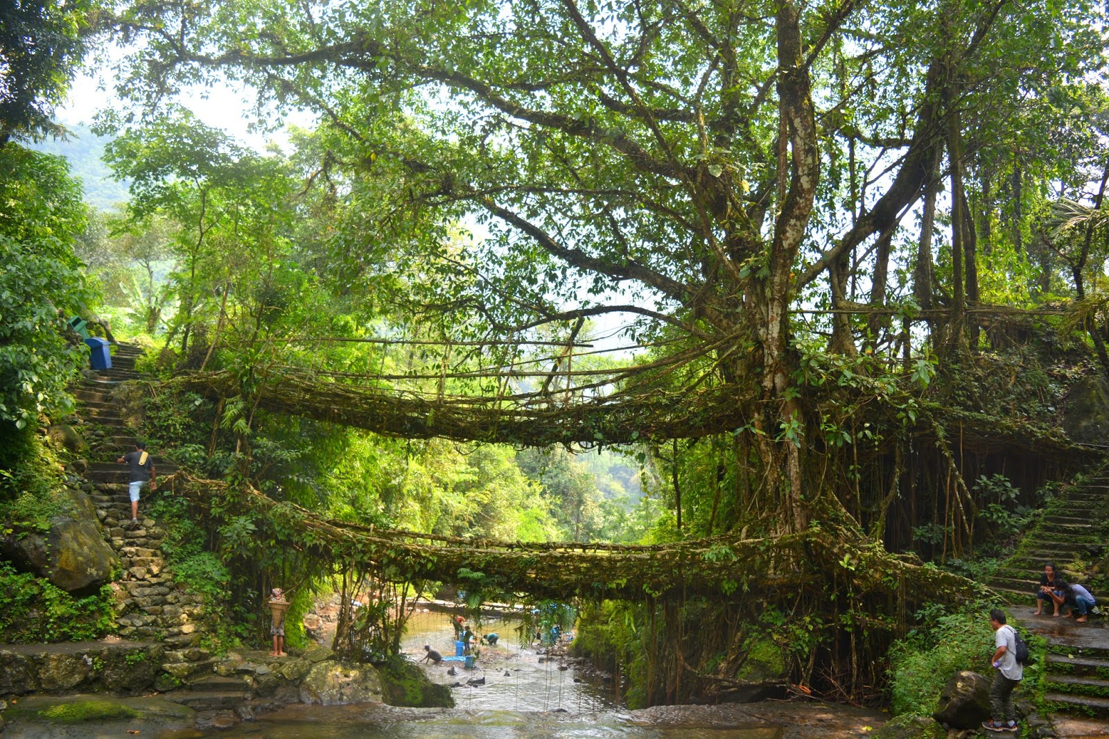 Cherrapunji, Meghalaya - Double Decker Living Root Bridge and Rainbow ...