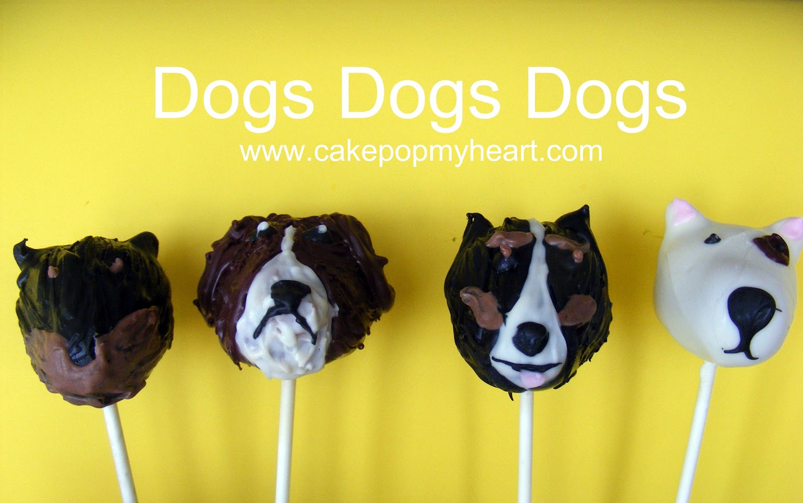 Cake Pop My Heart: Animals