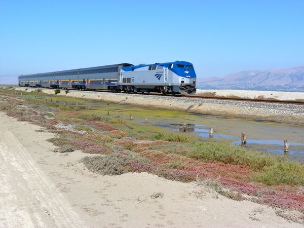 Walking San Francisco Bay: Alviso Slough Trail - Sept. 3, '11