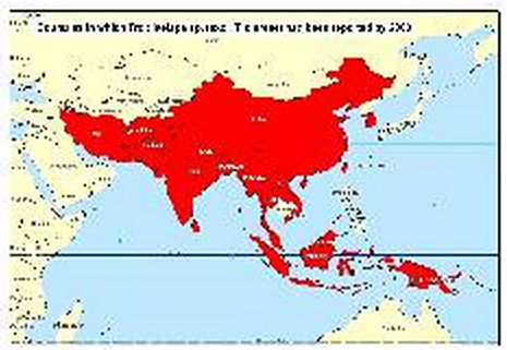 Kenan GİŞAN Arıcılık: Tropilaelaps clareae (Tropilaelaps akarı, Arı akarı)