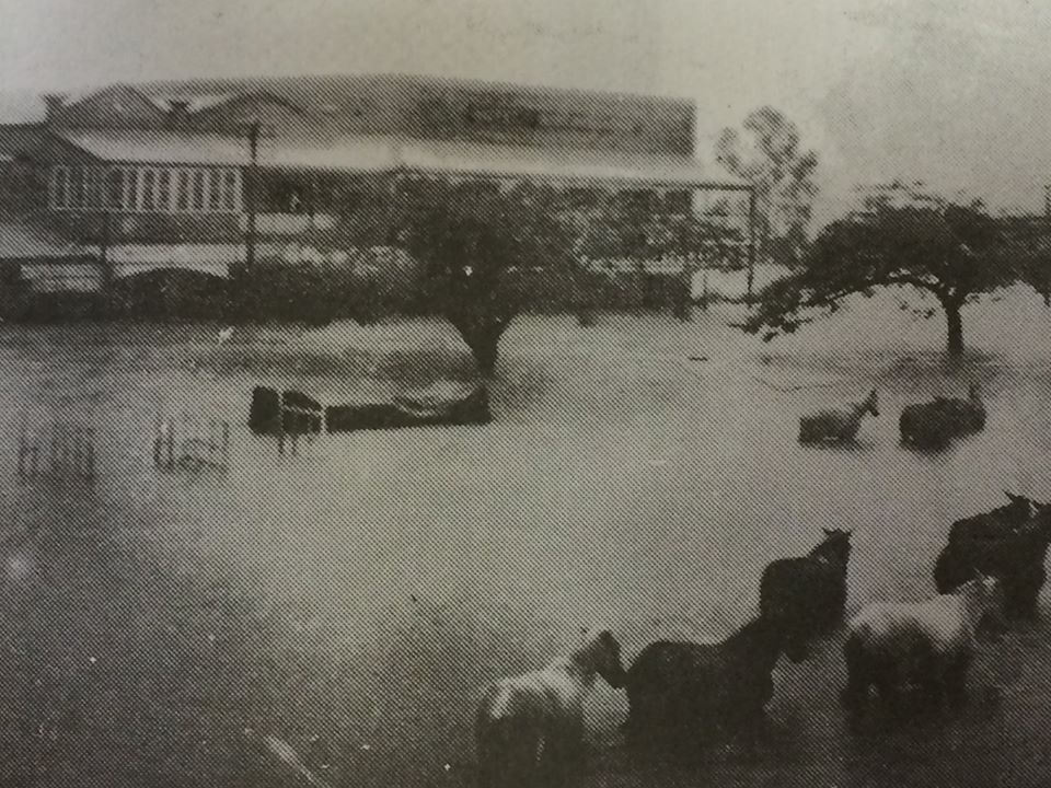 Interpreting Ingham History: Ingham In Summer