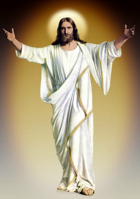 The Catholic Reader: The Way of Light