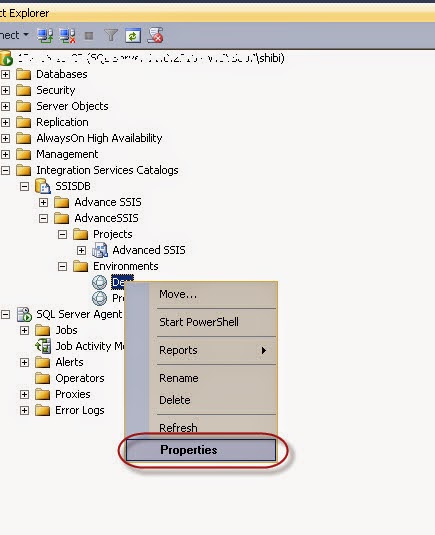 LearnSQL: Implementing SSIS Environment Variables LearnSQL: Implementing SSIS Environment Variables