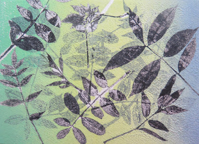Stef Mitchell - Field and Hedgerow: Affordable art for all