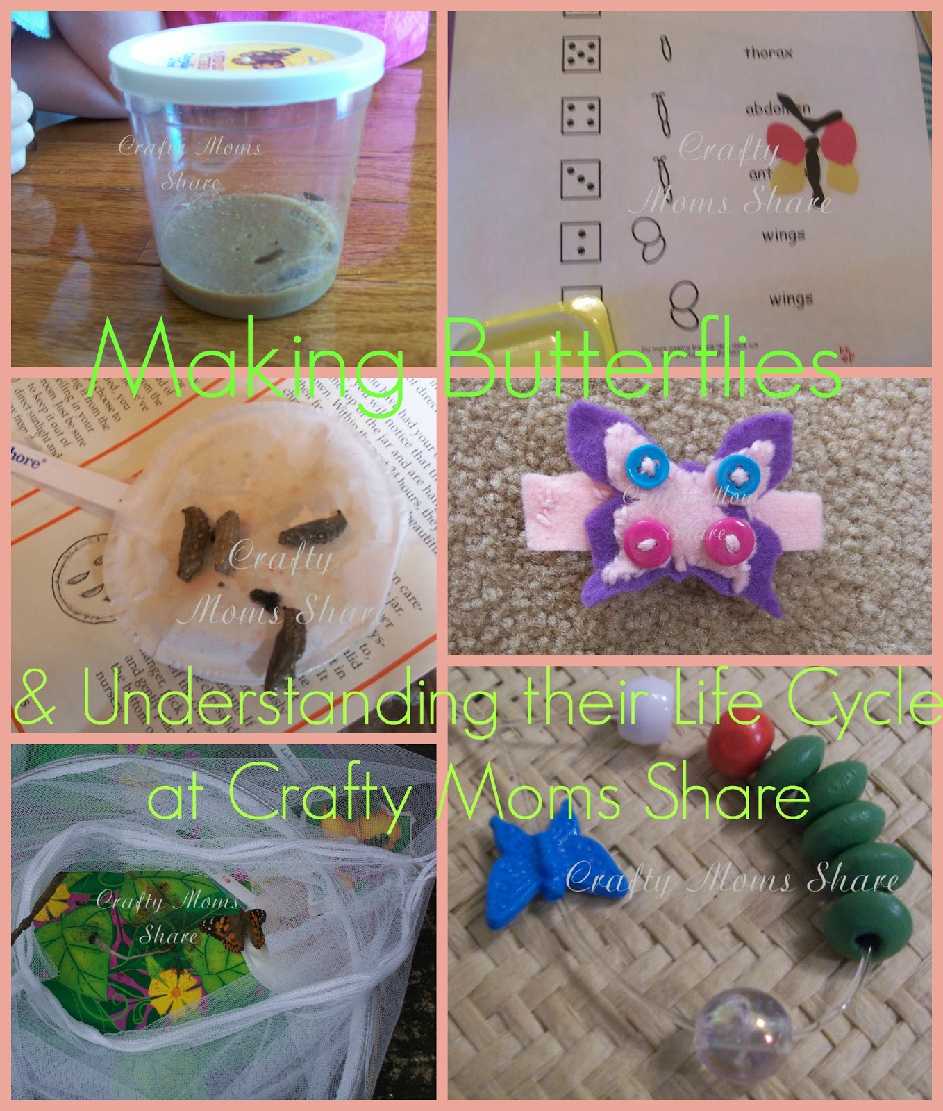 Metamorphosis Art Ideas For Kids