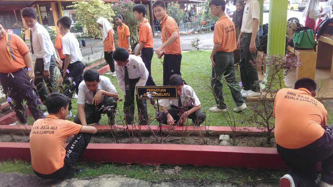 SMK Raja Ali: January 2018