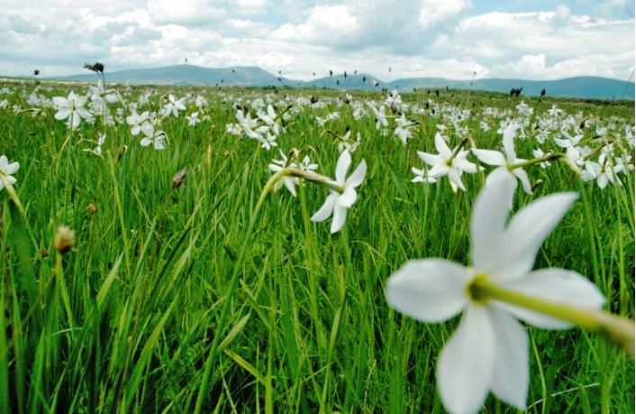 ZLOSELA (Kupres-BiH): TURIZAM