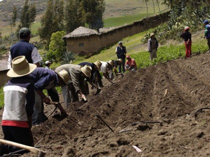 COMUNIDADES CAMPESINAS DEL PERU