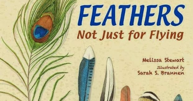 KISS THE BOOK: Feathers: Not Just for Flying by Melissa Stewart –ESSENTIAL