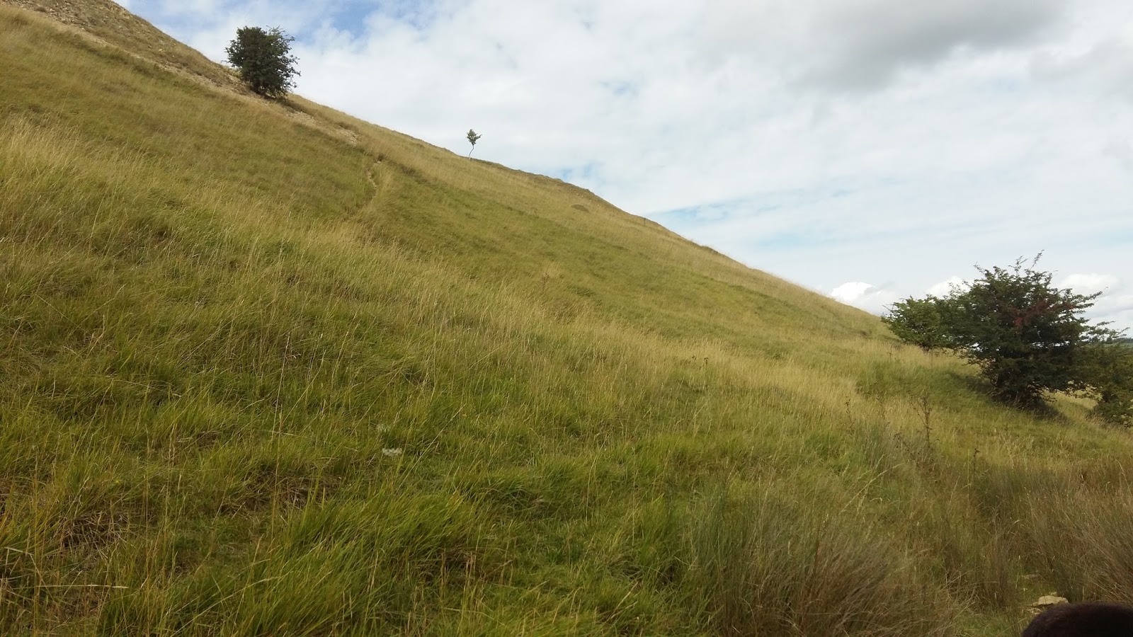 Cotswolds Travel: The source of the River Isbourne