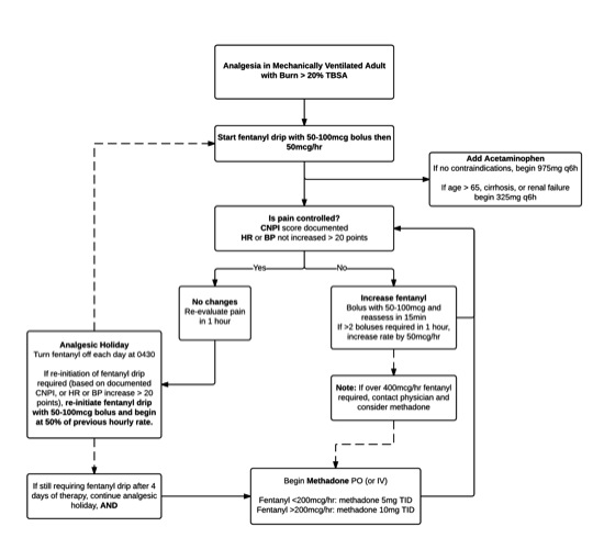 UK Trauma Protocol Manual: Burn 8. Pain Management for Burns