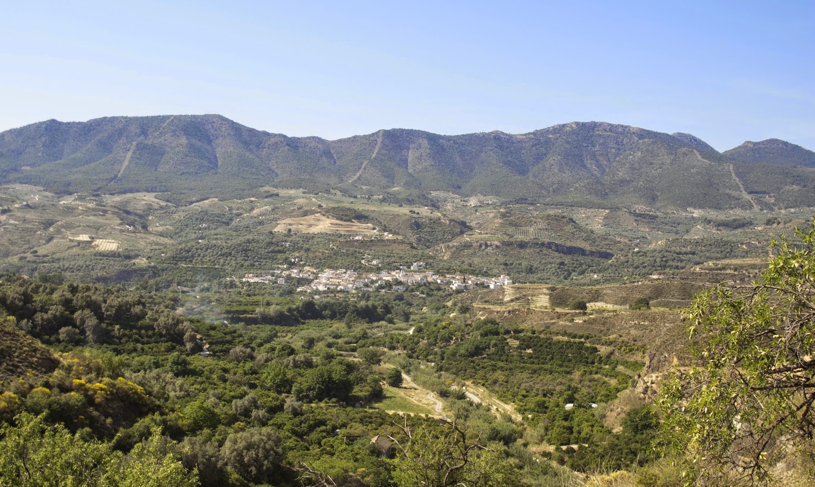 ¿Por dónde va la verea?: De Cónchar a Melegís