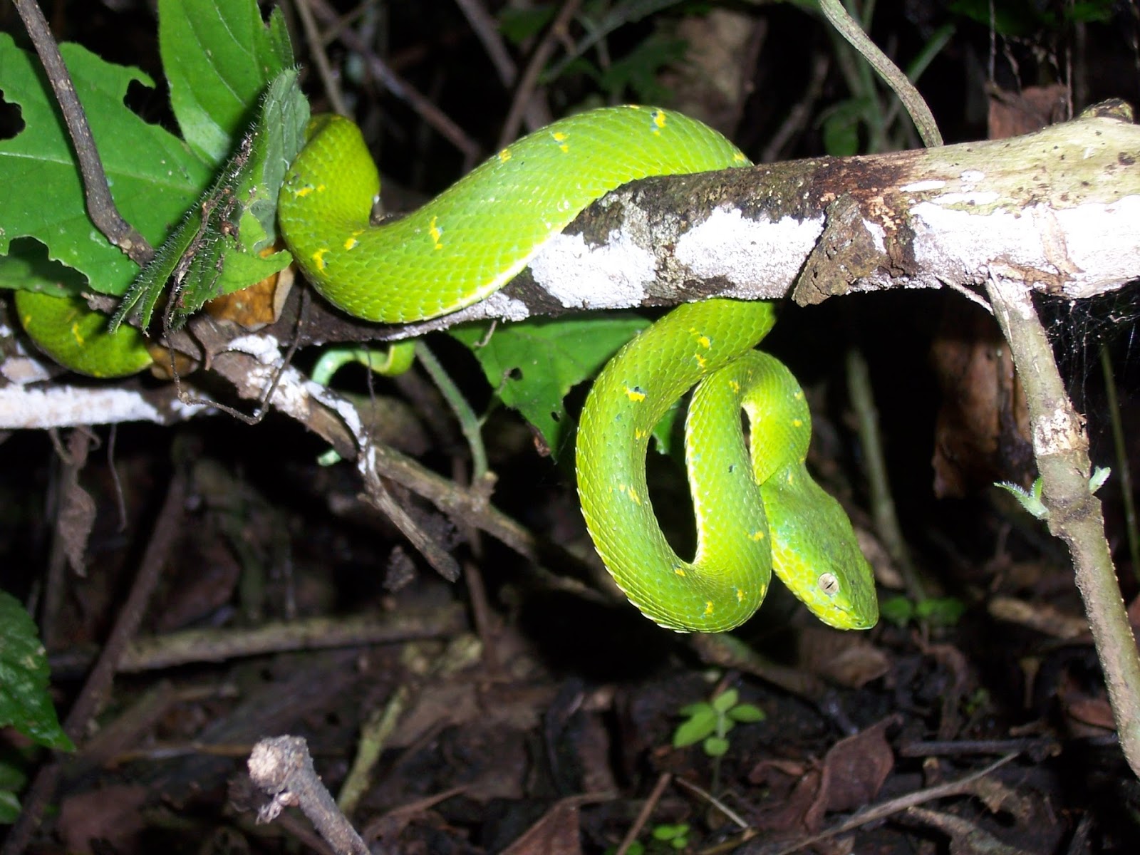 Parque Ambiental Municipal Rio Loro: FOTOS