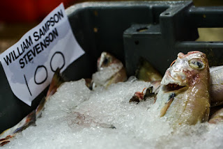 Through the Gaps! - Newlyn Fishing News: "A fish-frail of stout" on ...