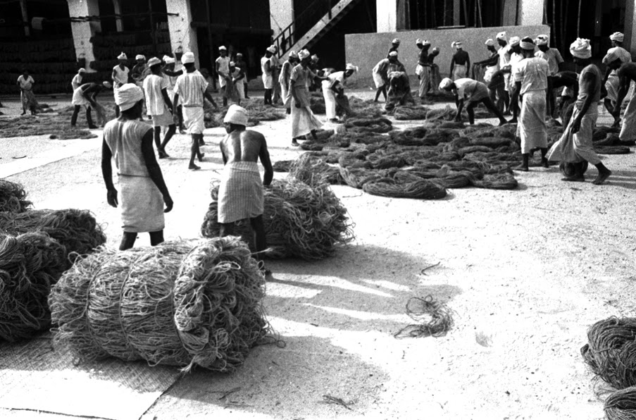 James Darragh in Aleppey ~ Maddy's Ramblings