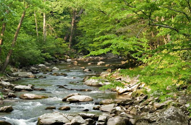 Preživljavanje u divljini: Kako pronaći izvore vode u divljini