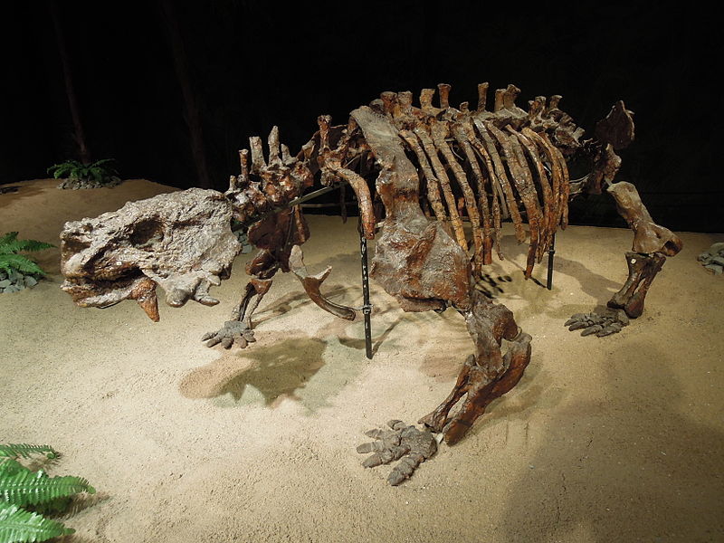 Blog de la Vida Prehistórica: Scutosaurus