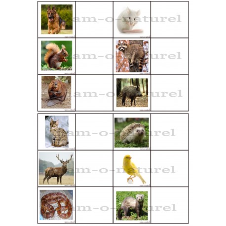 Loto des animaux de la ferme/forêt et compagnie | Mam'o naturel