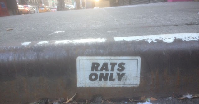 kenneth in the (212): Sign Language