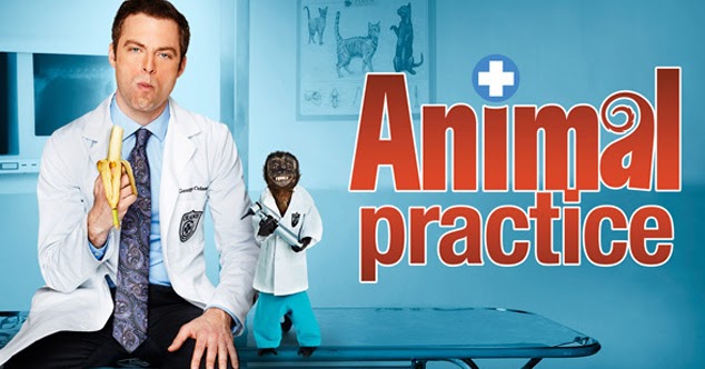 A Follow Spot: NBC's ANIMAL PRACTICE Is Dunzo
