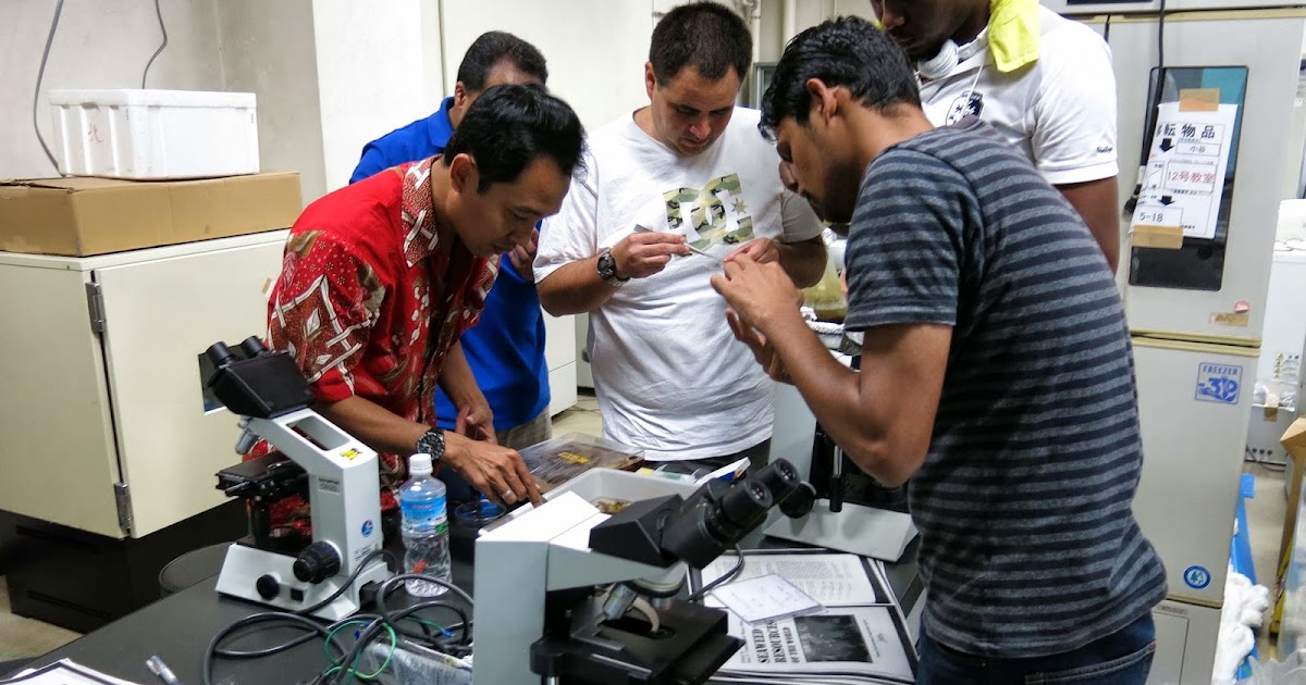 Seaweed Research Journal 海藻研究ジャーナル : Special lecture for the OFCF ...