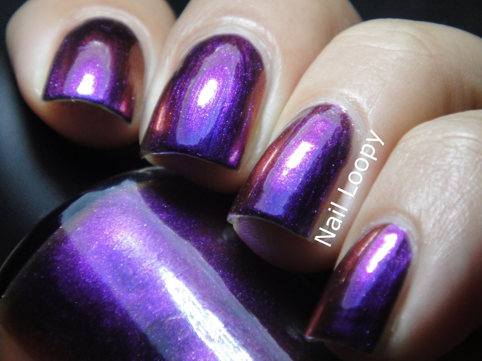 nail loopy: ILNP CYGNUS LOOP