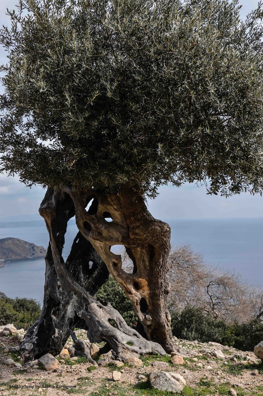 Kos and the Dodecanese through my eyes-Η Κως και τα γύρω νησιά μέσα από ...