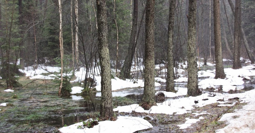 Świętokrzyskie Włóczęgi : Krasna – rzeka, której nie udało nam się dziś ...