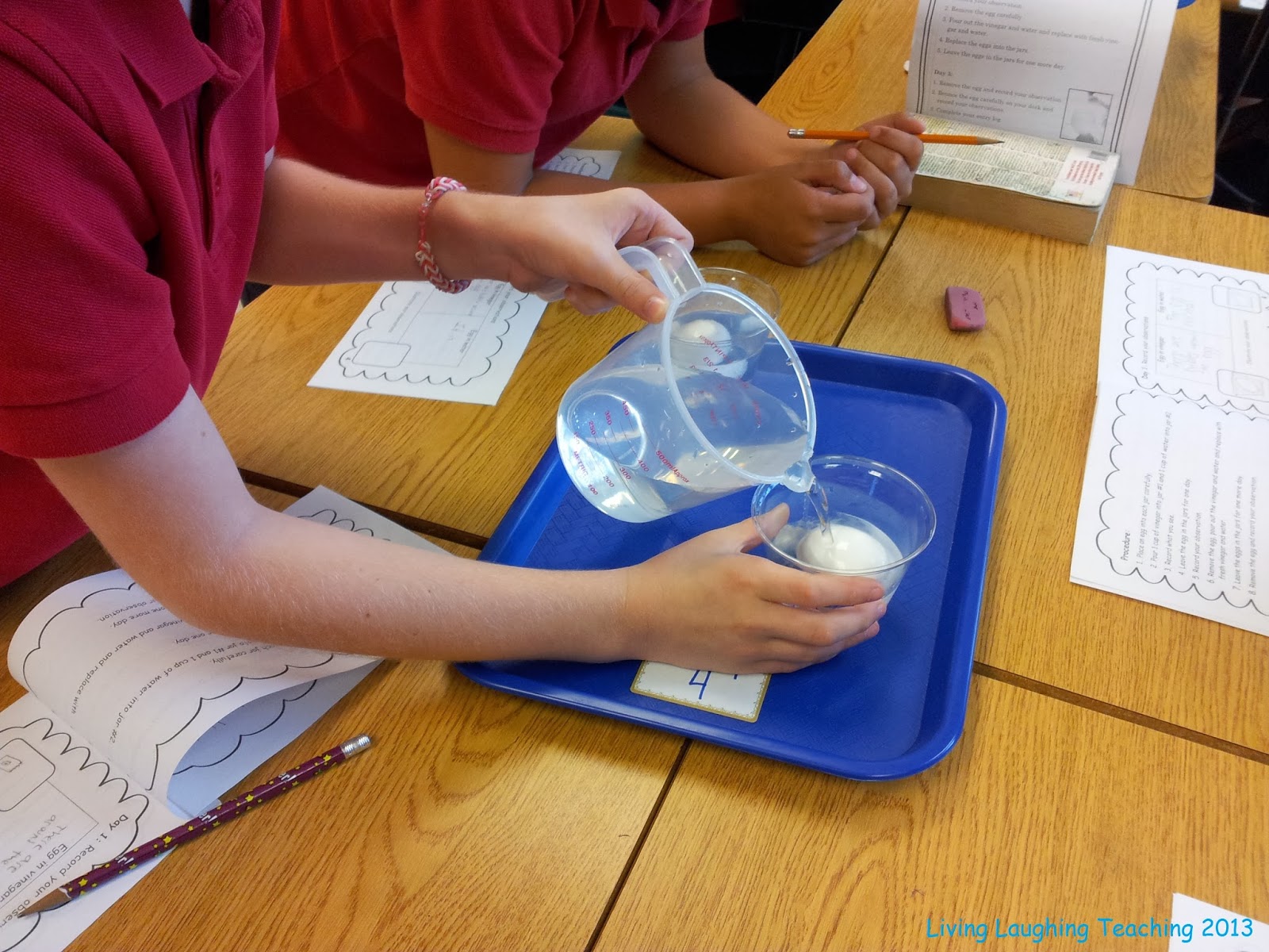 Living. Laughing. Teaching: The Naked Egg Experiment