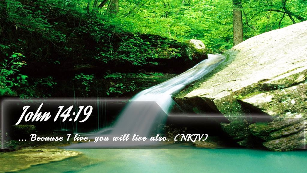 INSPIRATIONAL QUOTES | JOHN 14:19