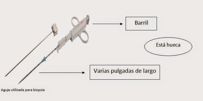 CMC: LOS GRANDES AVANCES EN LA MEDICINA