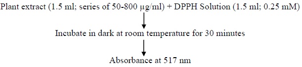 The Rapid Method of Estimating Antioxidant Activity and Total ...