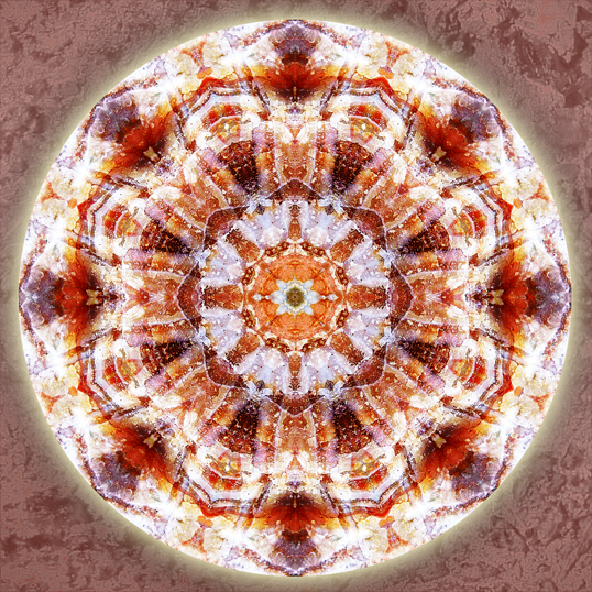Sacred Circle Mandalas: Opening to Infinite Joy Mandala