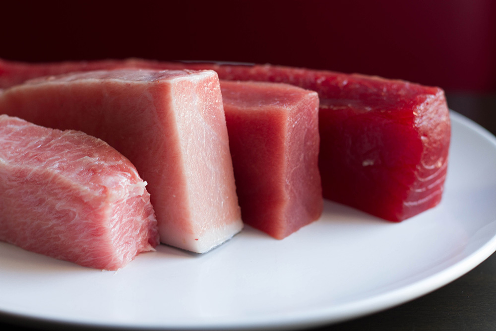 The Difference between Skipjack Tuna vs. Albacore Tuna - Tuna Skipjack ...