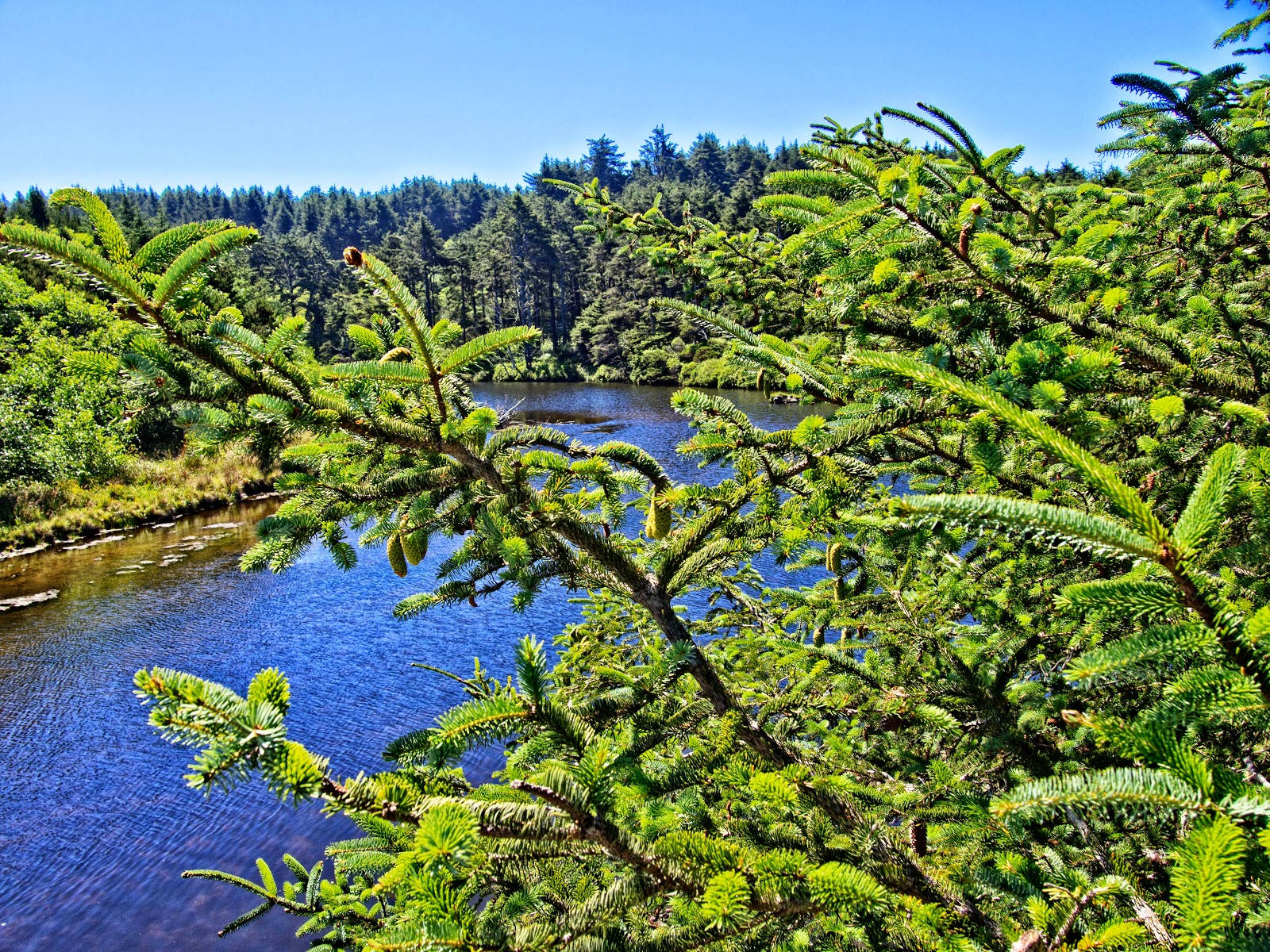 Thom Zehrfeld Photography : Brian Booth State Park | Ona Beach