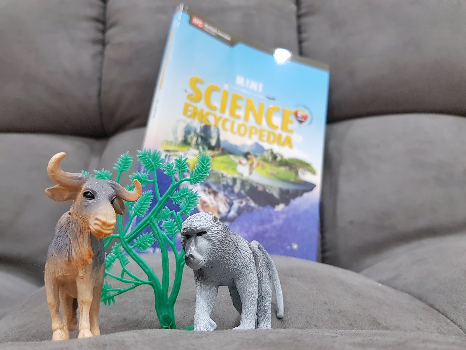 Mini Science Encyclopedia 8th edition