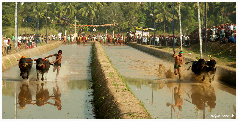 Arjun Haarith: Kambala