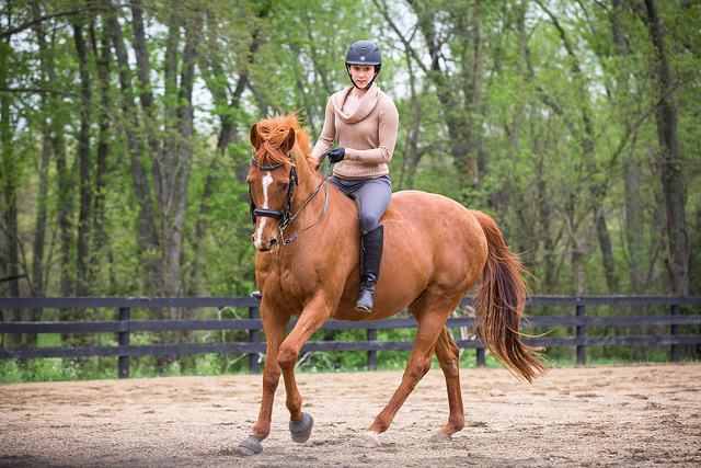 Logic Lane "Guinness"