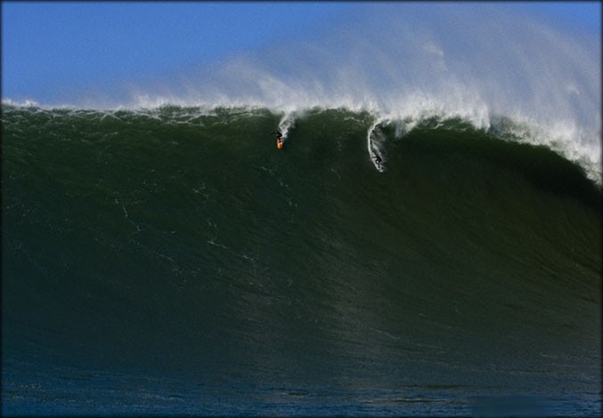 Wave Hunter: SECTOR NINE SURF SERIES