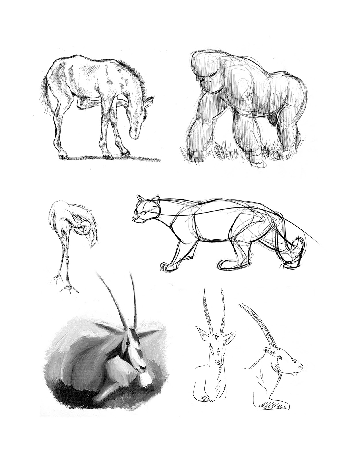 Louie's Place: Animal Drawings