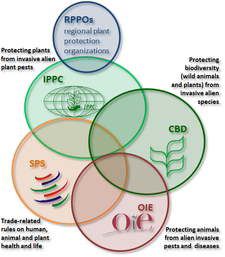 ISO 22000 Resource Center: Food Quality and Safety - IV