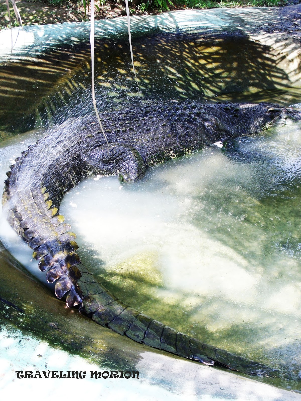 Traveling Morion | Travel + Photography: Morion's PhotoTravel Diaries ...