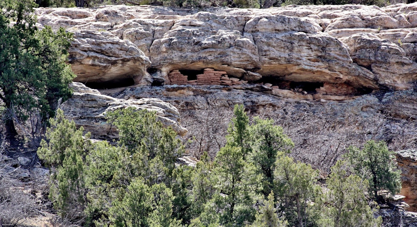 The Southwest Through Wide Brown Eyes: Bullpup Canyon's Cliff Ruins ...