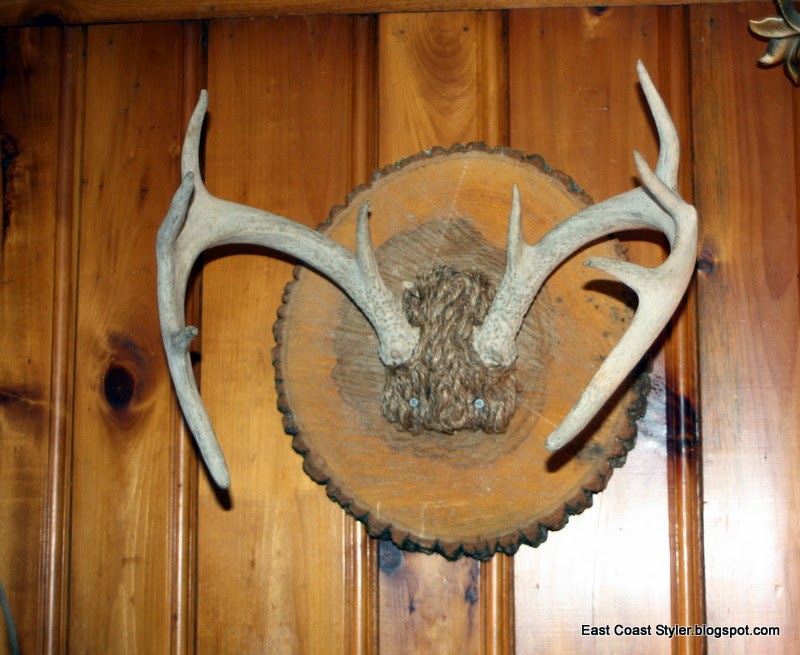 East Coast Styler : Wood Log Mounted Deer Antlers idea