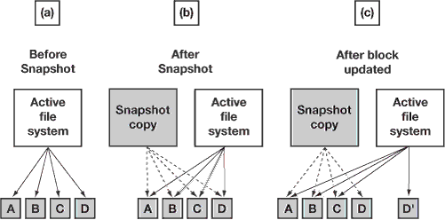 Network Appliance: Snapshot