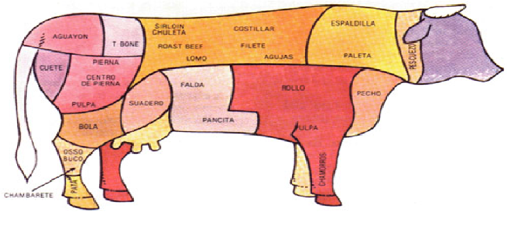 Cocikika: Cortes de Carne de Res