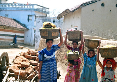 TOP ALERTS: Purulia Arms Drop