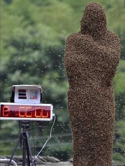 World's All Amazing Things, Pictures,Images And Wallpapers: Amazing Bee ...