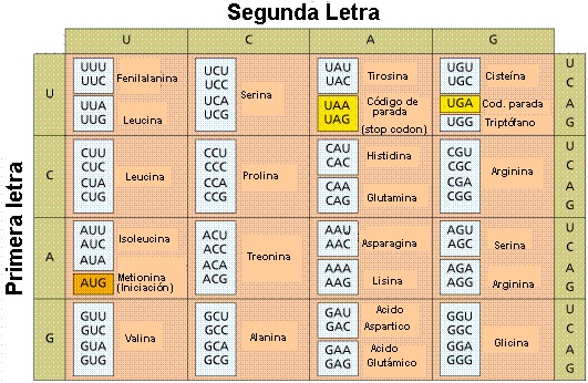Esteban Ochoa - Ciencia y Tecnología: NOVENO