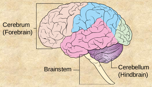 The MESSIANIC KABBALAH REVOLUTION!: The SPIRITUAL & PHYSICAL SCIENCE ...